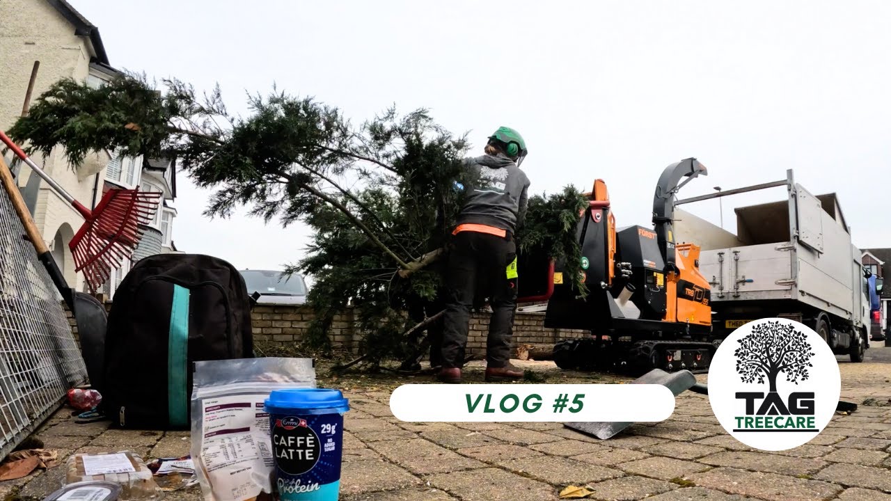 Forst TR8 Demo and A Day Subbing with AP Trees 🌲 - YouTube