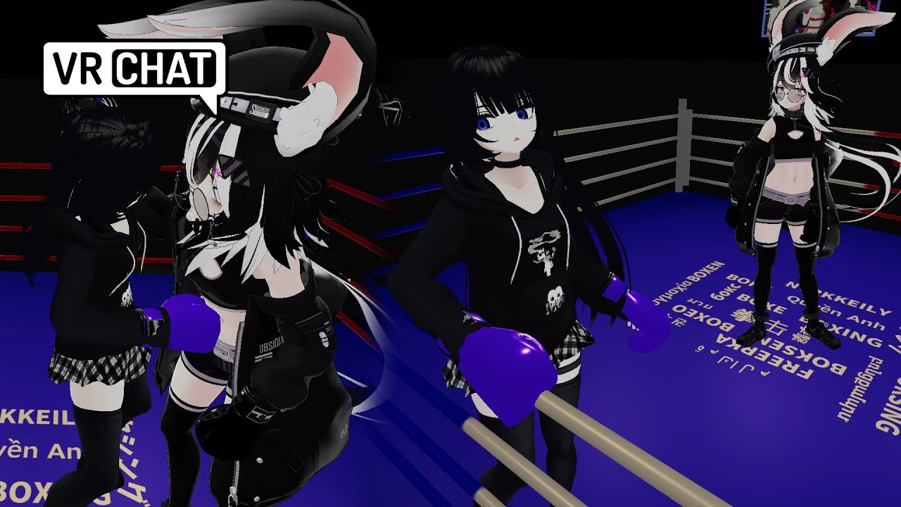 This boxer has found a new feeding ground for beatdowns! VRchat BOXING ...