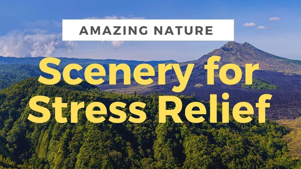 Amazing Nature Scenery for Stress Relief - YouTube