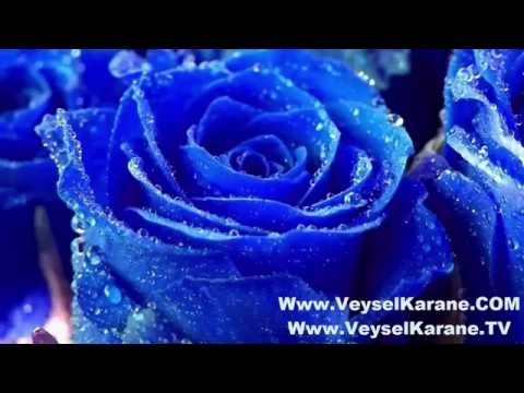 HAMD VE ŞÜKÜR ARASINDAKİ FARK NEDİR?