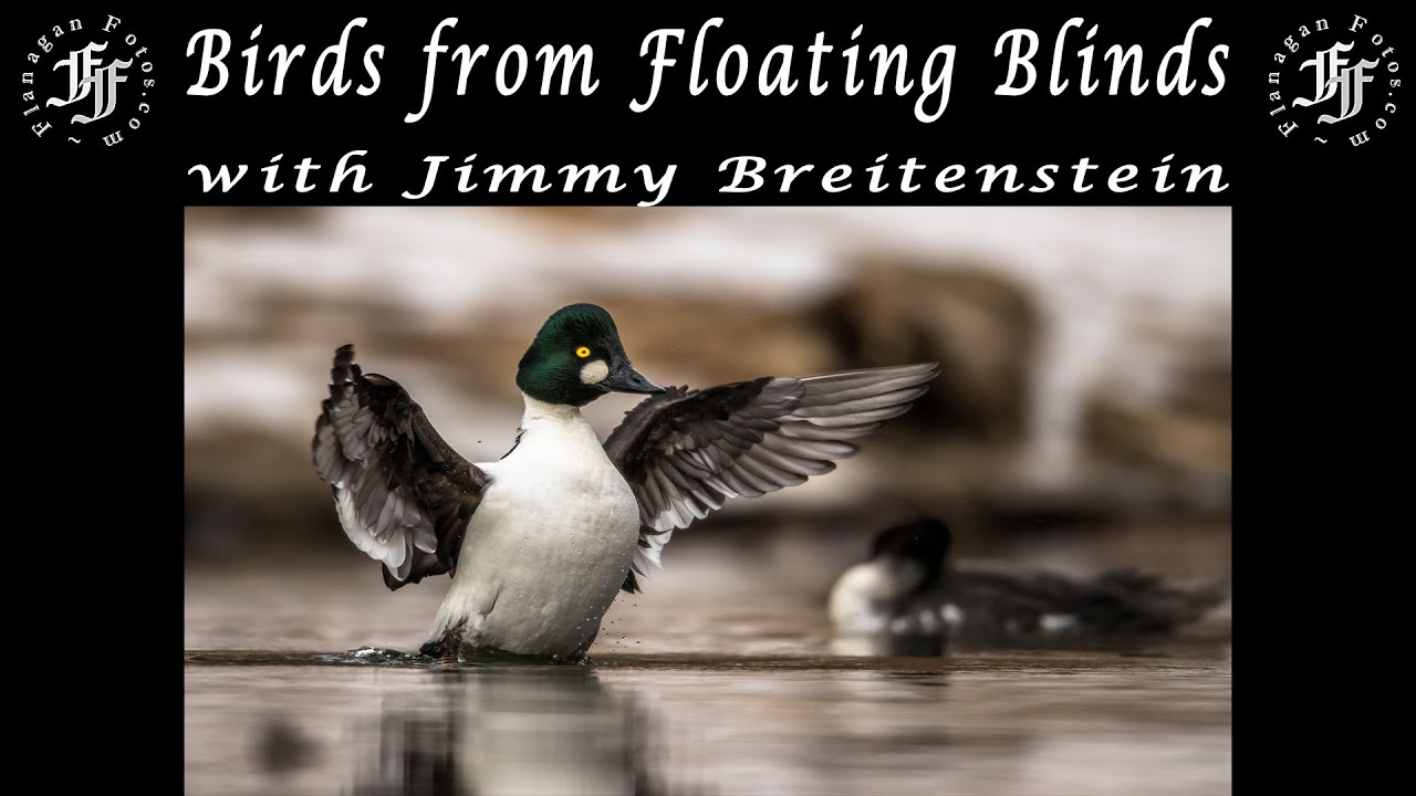 Floating Blinds for Great Bird Photos - YouTube