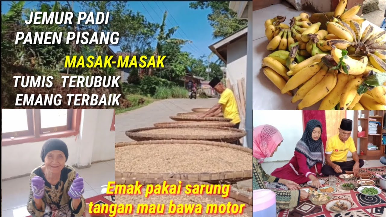 TUMIS TERUBUK EMANG THE BEST - YouTube