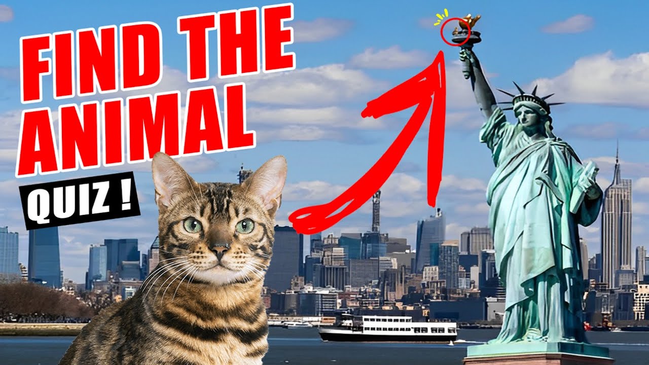 Find the hidden animal in the city | Can you find all the hidden ...