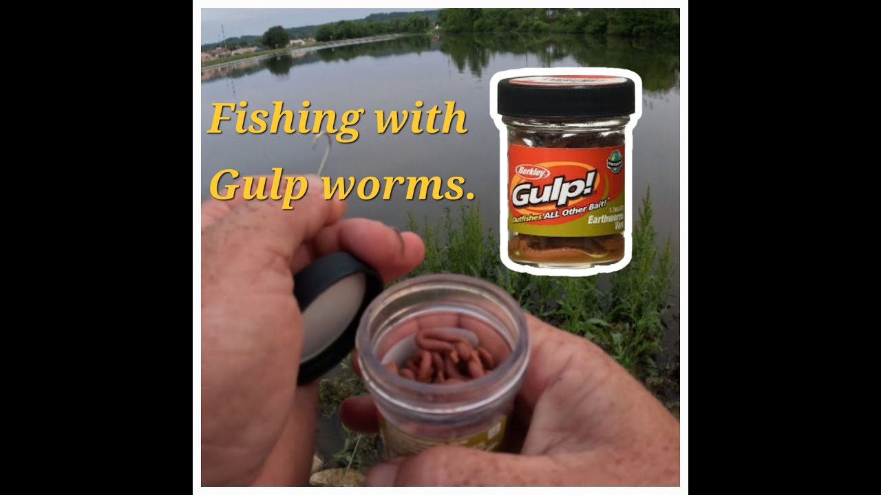 Fishing with Gulp! worms! - YouTube
