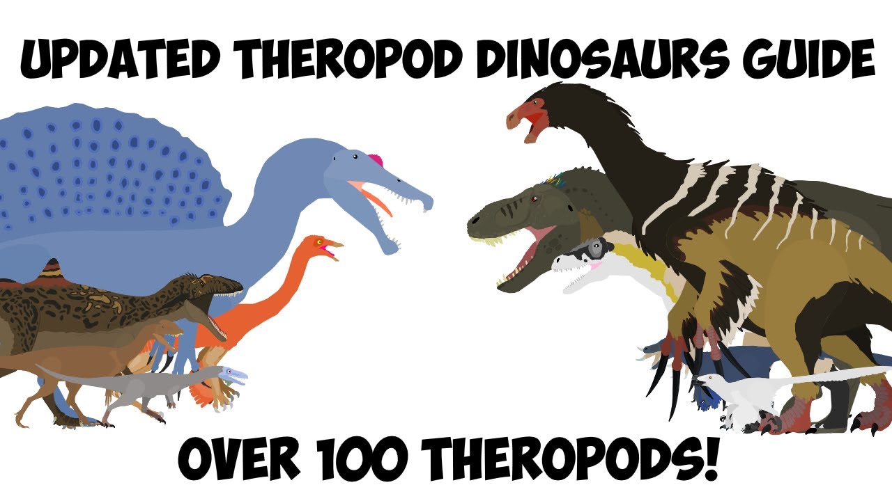 Updated Theropod Dinosaur Guide (Over 100 Theropods!) - YouTube