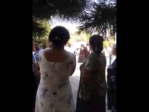 Sumqayıtda ağacları vəhşicəsinə kəsirlər