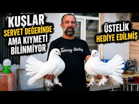 SERVET DEĞERİNDE KUŞLAR AMA KIYMETİ BİLİNMİYOR 
