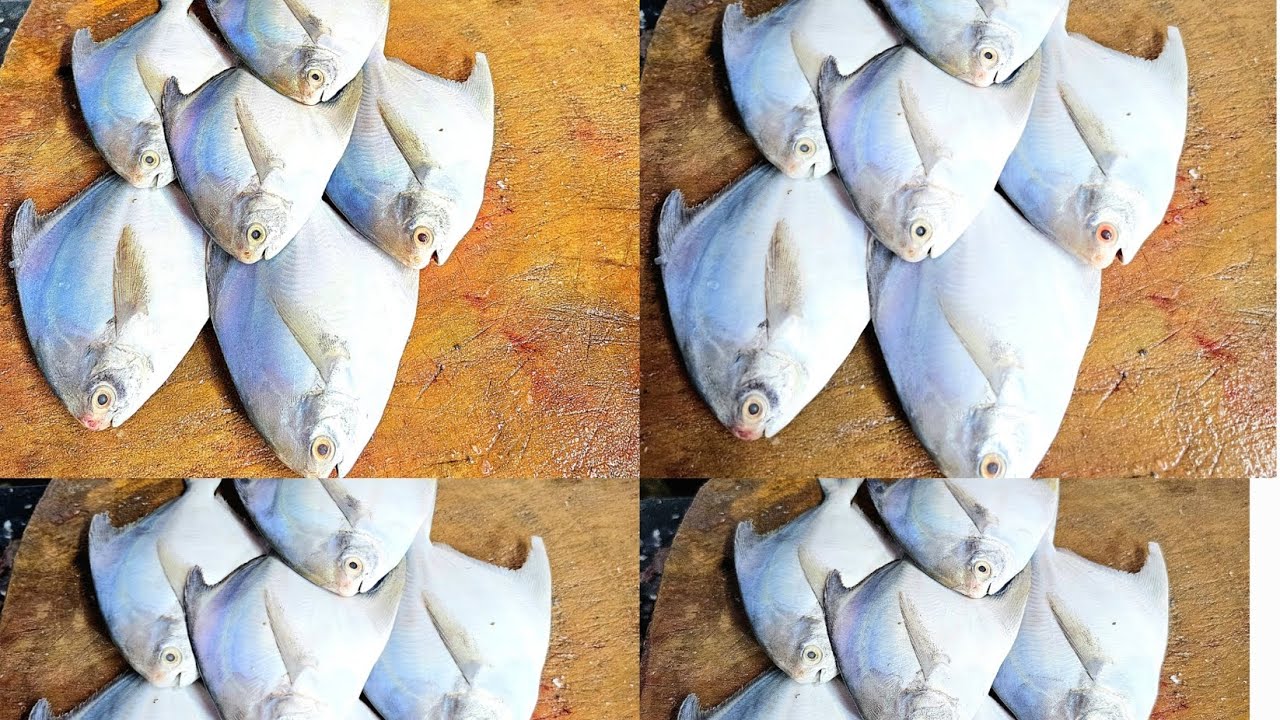 amazing cutting skills white pomfret fish vella avoliy sagar fish world ...