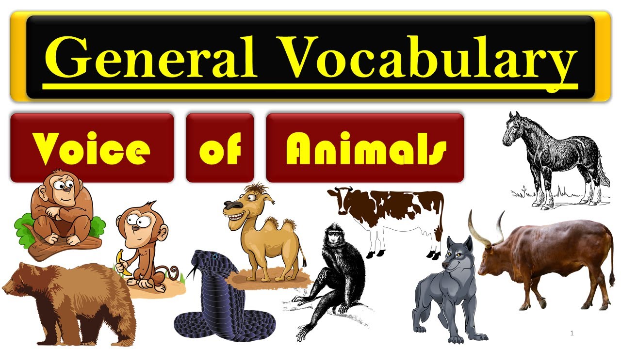 Animal's Voices | English Learning | English vocabulary | - YouTube