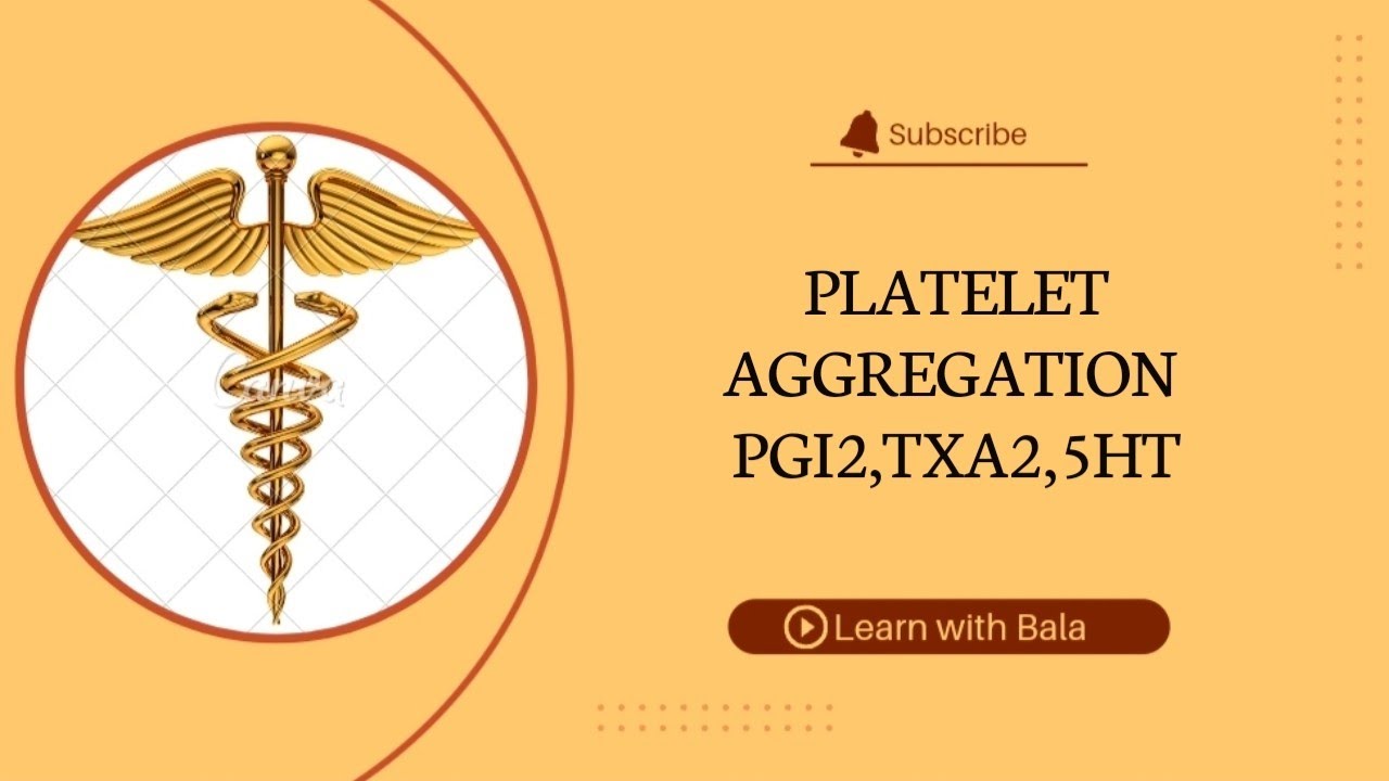 platelet aggregation - YouTube