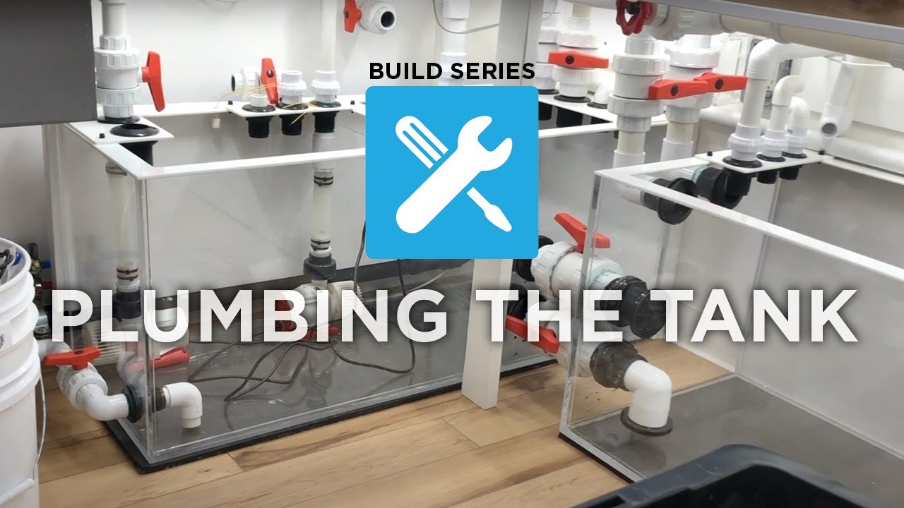 Ep. 11 | Build Series: Plumbing the Tank - YouTube