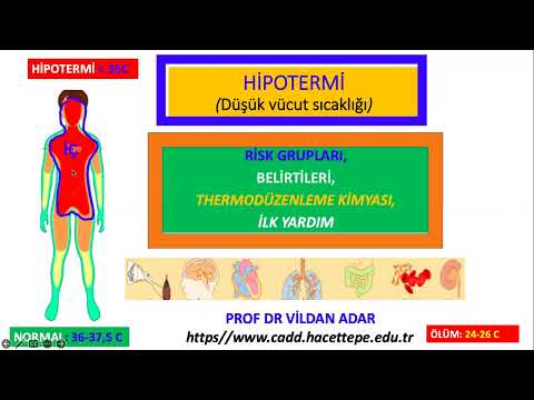 HİPOTERMİ fragman