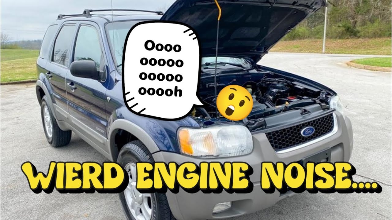 Rubber chicken in the engine? Crazy engine noise - YouTube