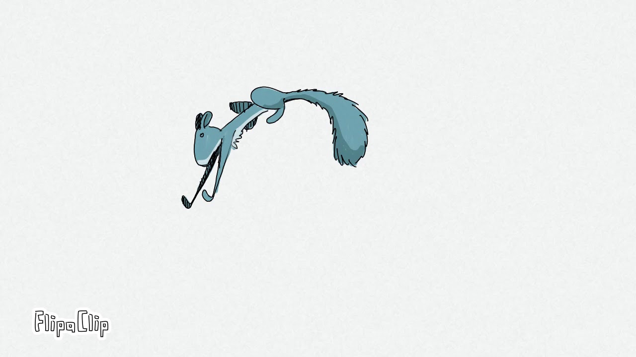 Squirrel Falling | Nice Loop Animation - YouTube