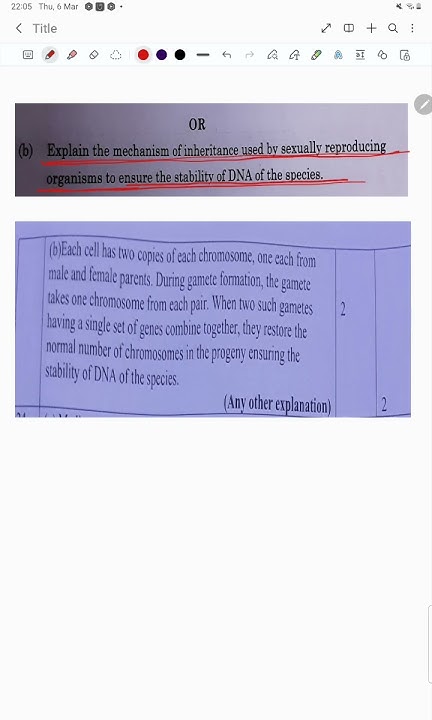 Explain the mechanism of inheritance used by sexually reproducing organisms to ensure the - YouTube