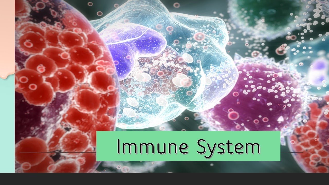 Introduction to Immune System Explained in 4 Minutes - YouTube