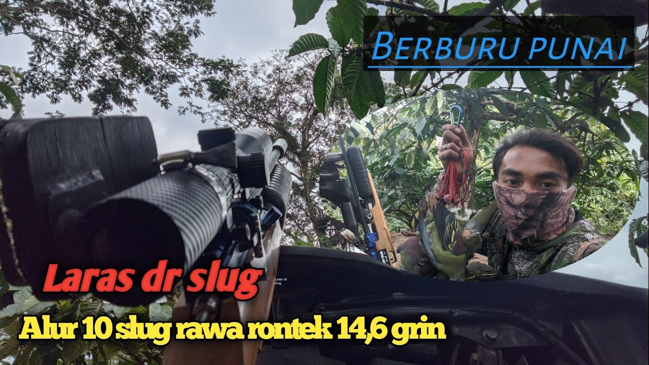 BERBURU PUNAI DENGAN UNIT NAGA RUNTING MIMIS SLUG 14,6 GRIN AUTO GK AD ...