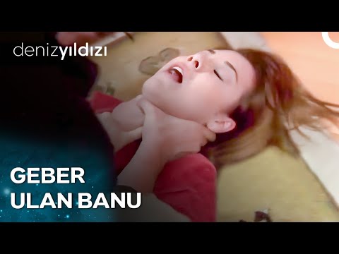 Fakirhane Günlükleri #339 Deniz Yıldızı