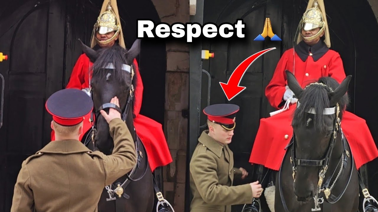 Huge Respect🙏 Brilliant Soldier Shows His Kindness by Assisting King's ...