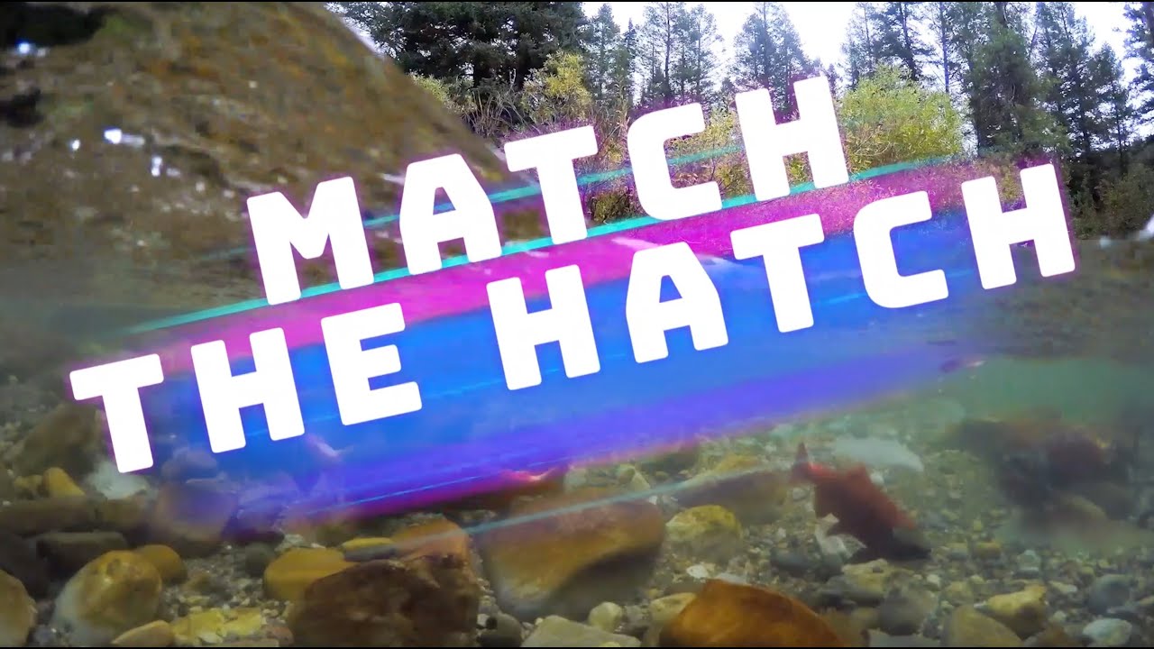Match the Hatch - YouTube