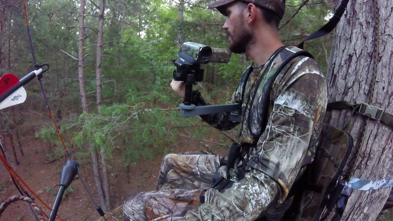 South Carolina Whitetail hunting 2019 - YouTube