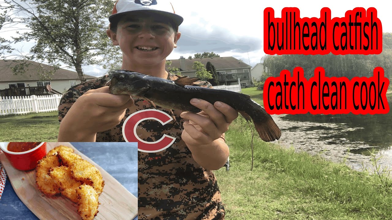 BULLHEAD CATFISH catch clean cook! - YouTube