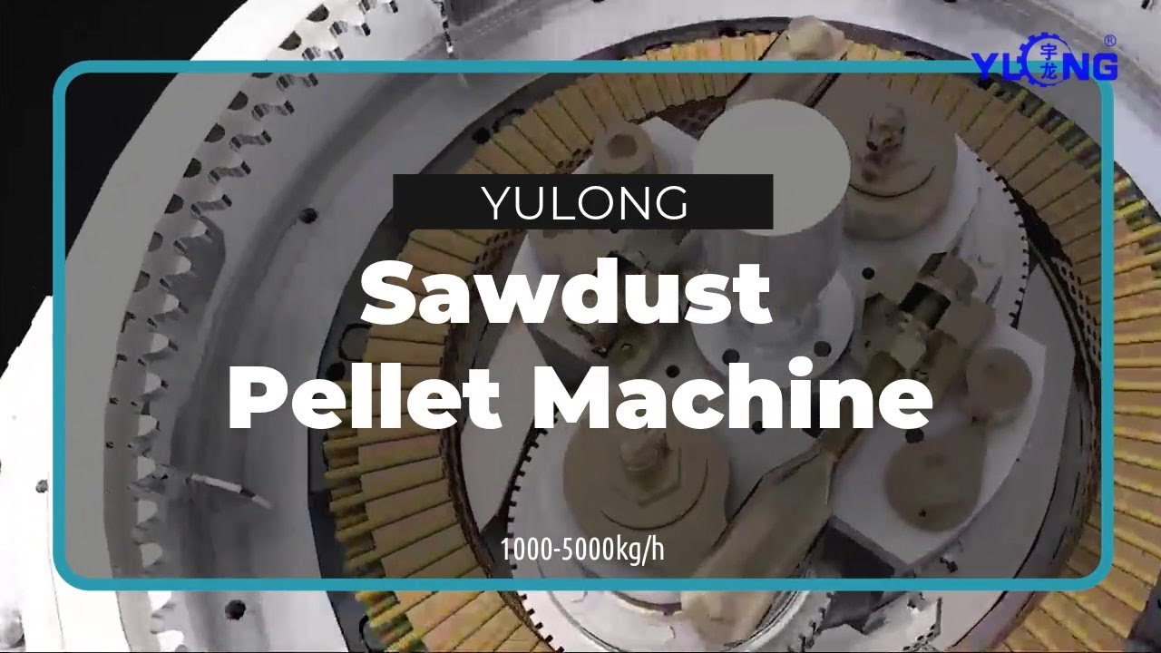 High Efficient Sawdust Pellet Machine!! Yulong XGJ560 [2021 NEWEST ...