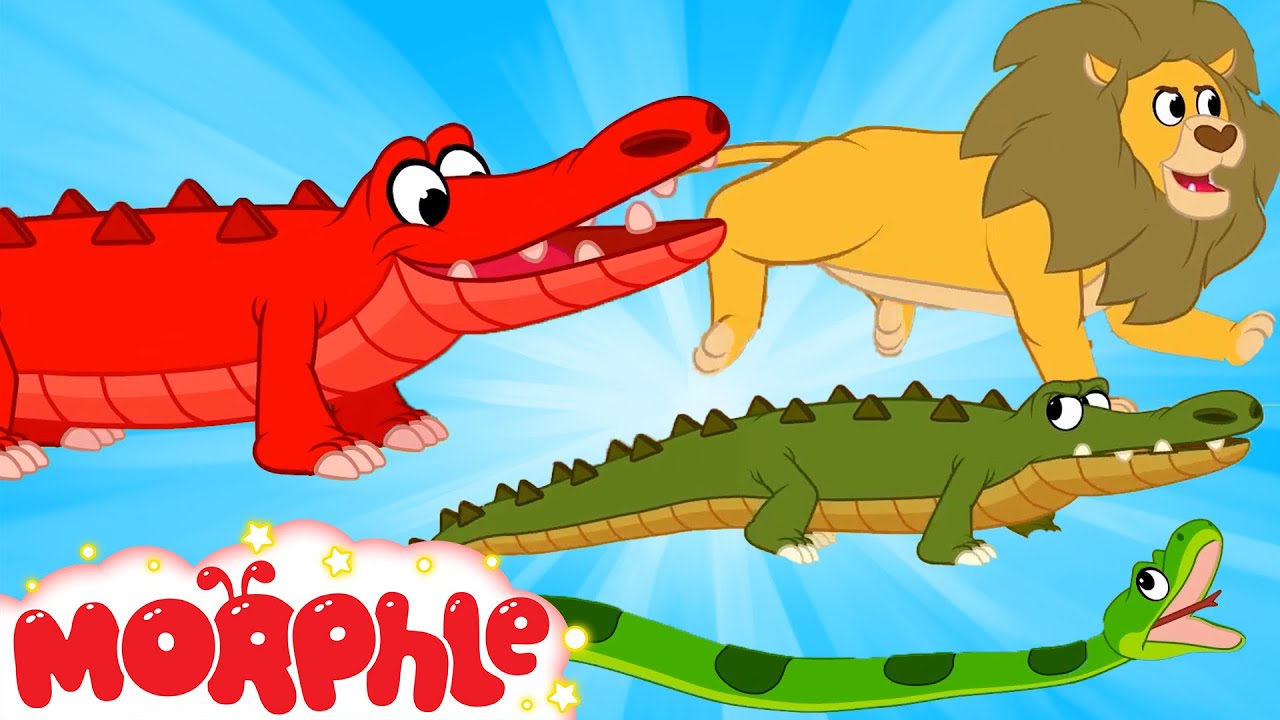 Scary Animals Attack Morphle!! | My Magic Pet Morphle | Full Episodes ...