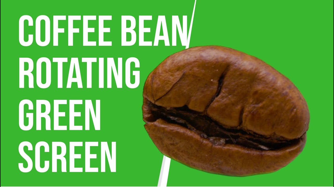 Closeup Coffee Bean Rotating on Green Screen Background | HD | FREE ...