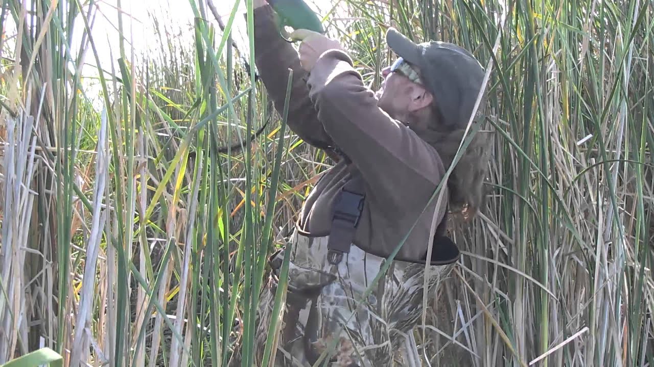 Duck Hunters: Meet Connie - Swift Waters - YouTube