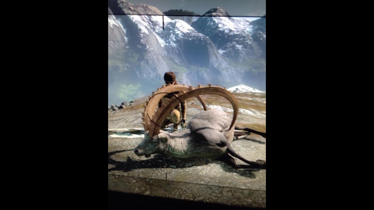 The Hunter: DD33 274 & 240 Huge Ibex Bow kills w/ Superman10 - YouTube