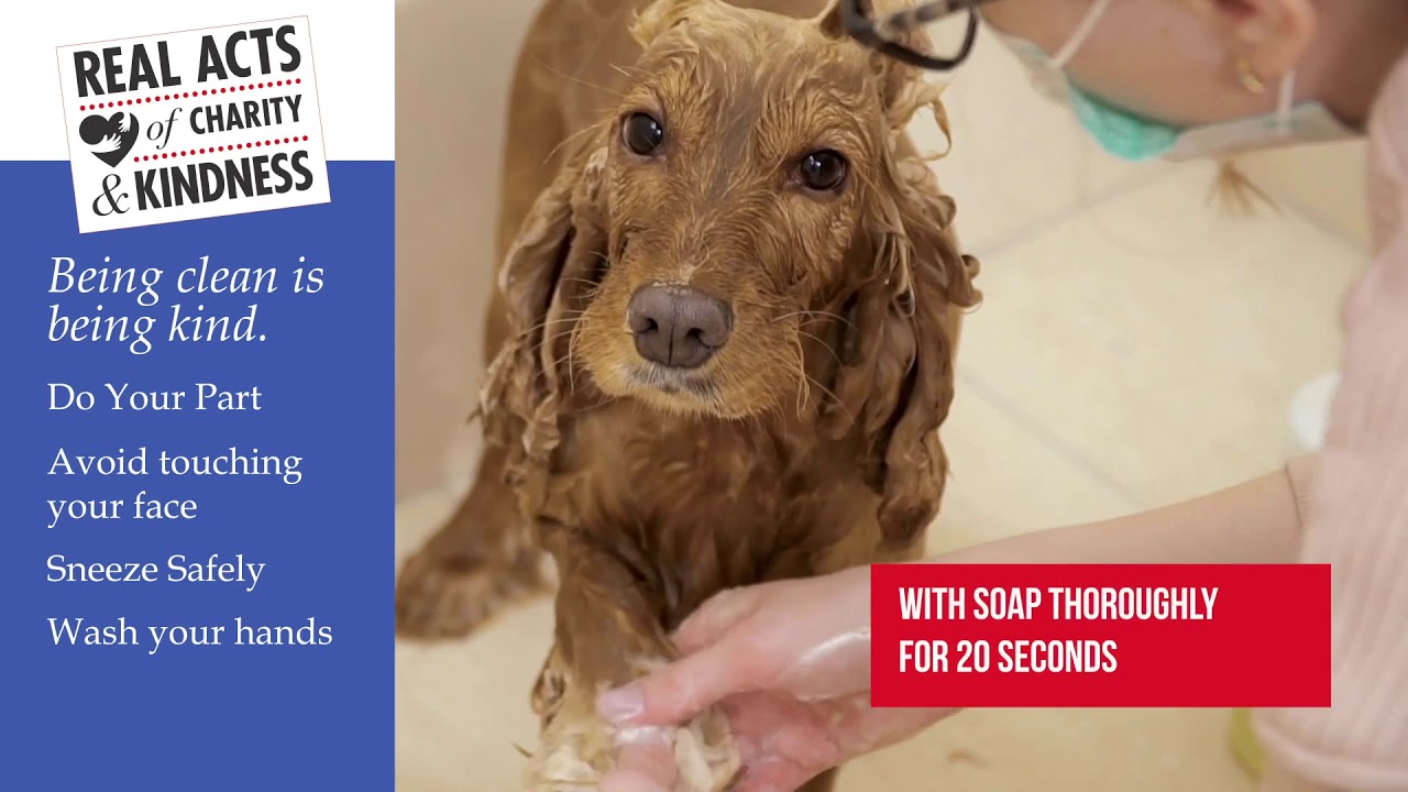 Being Clean is Being Kind - YouTube