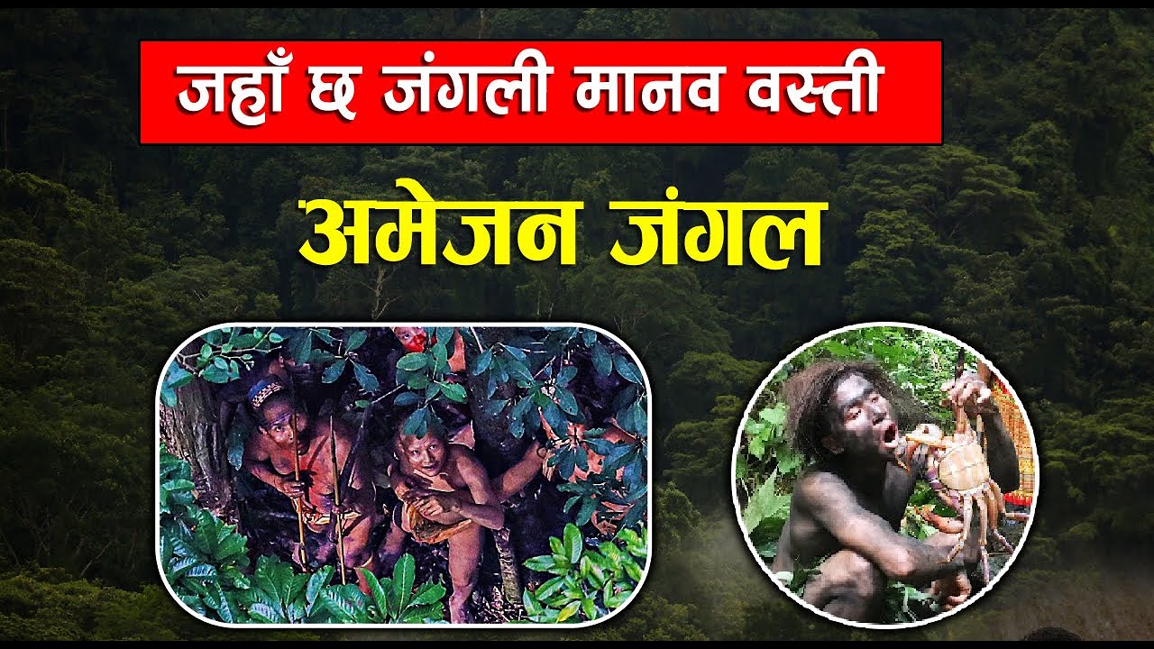 Amazon Rainforest || Tribes of amazon forest || Human Life in amazon ...