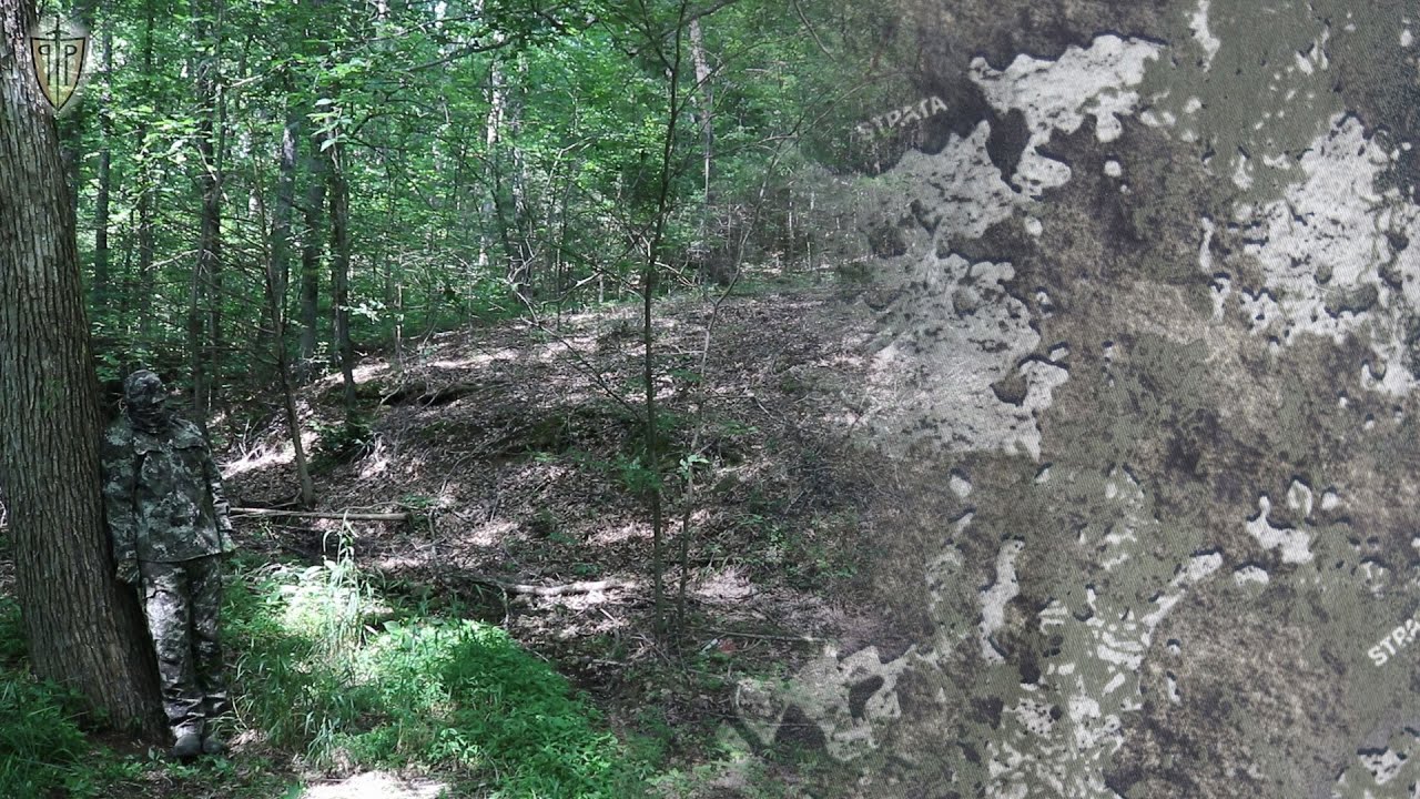 TPP CT06 TrueTimber Strata Camo Test: Open Inner Woods, Shifting Light ...