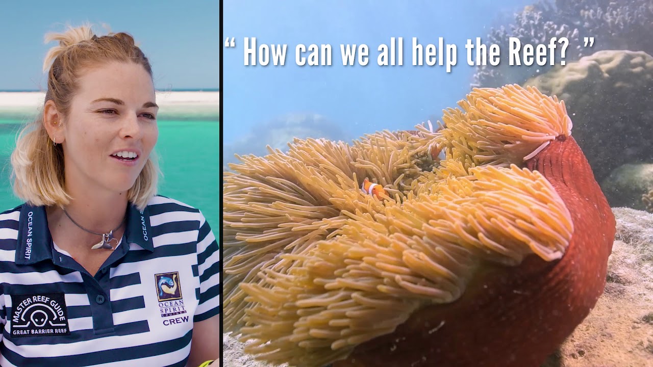 Ocean Spirit: A day in the life of a Master Reef Guide - YouTube