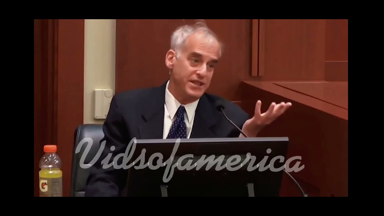 Johnny Depp's Lawyer Wayne Dennison asked Dr. Speigel Amber Heard's ...