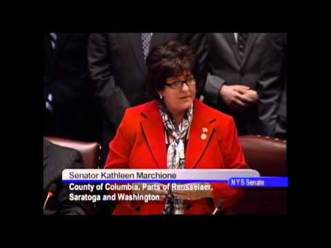 Kathleen Marchione comments on Gun Control Legislation in Senate Session - January 14, 2013
