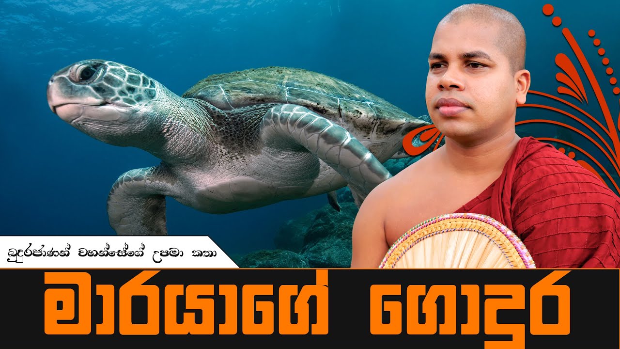 Sinhala Dharma Deshana | මාරයාගේ ගොදුර - උපමා කතා 05 - YouTube