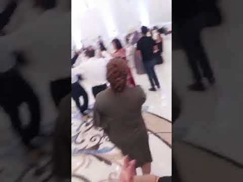 Bacilarin toyda reqsi