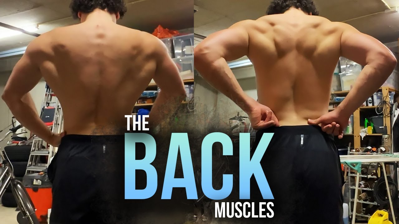 How To Get A Classic & Sculpted Back - YouTube