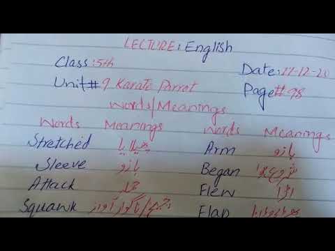 Karate parrot Class 5 English Video for Thursday - YouTube