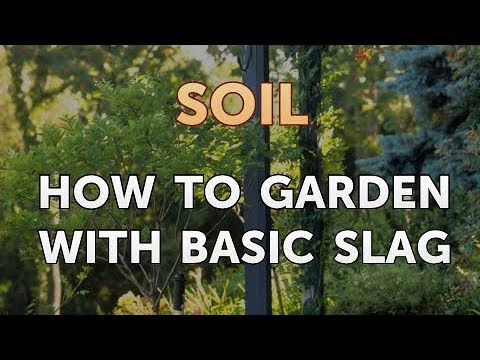 How to Garden With Basic Slag - YouTube