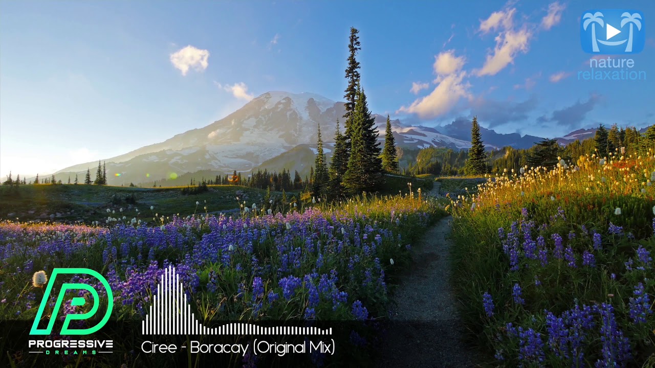 Ciree - Boracay (Original Mix) [Progressive Dreams] - YouTube