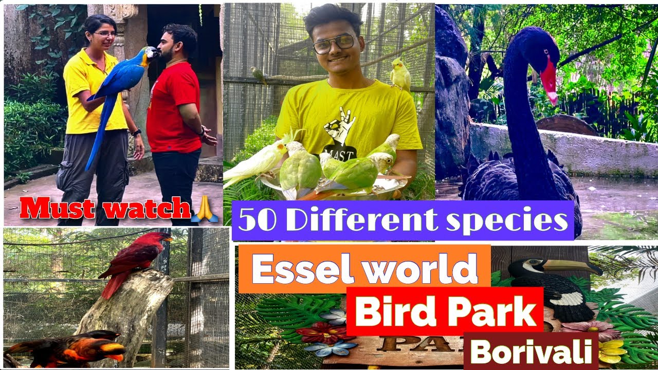 India's first interactive Bird Park😱|A-Z Details & full tour | Essel ...