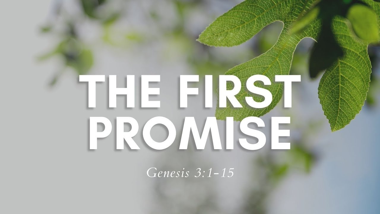 The First Promise - YouTube