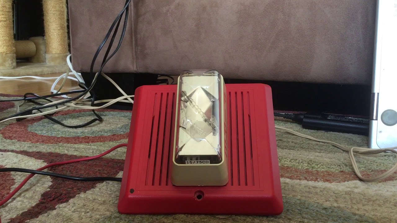 EST Integrity - YouTube