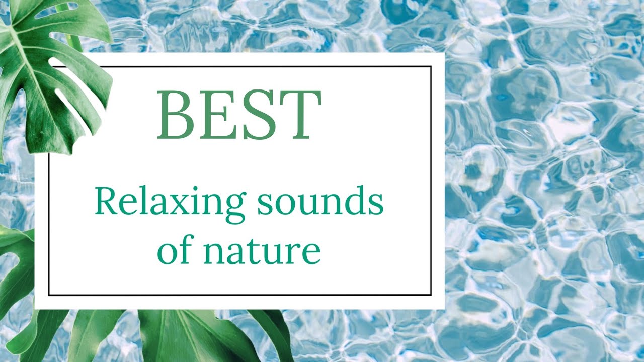 Relaxing sounds of nature to help get you in the mood for meditation ...