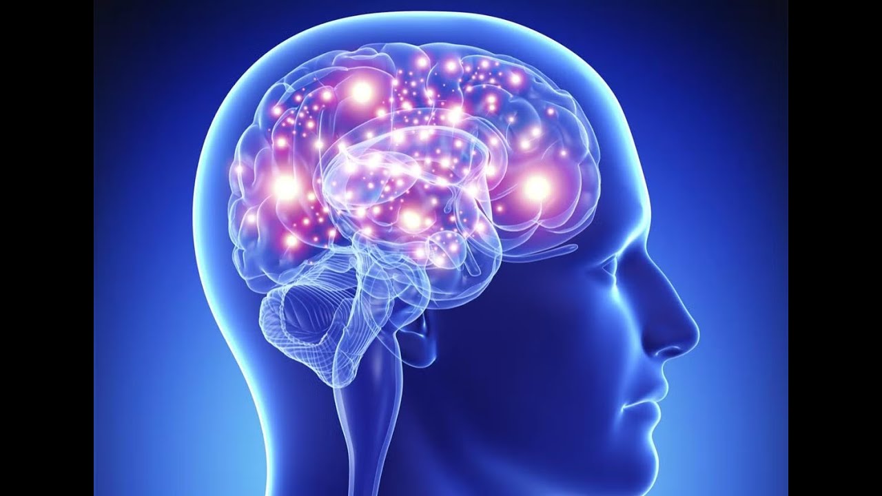 single brain cell - YouTube