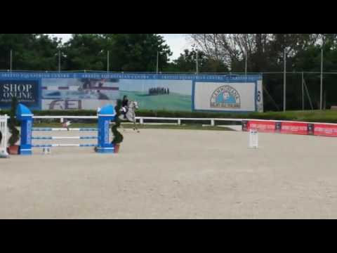 Zento Zienie Cat130 arezzo equestrian centre