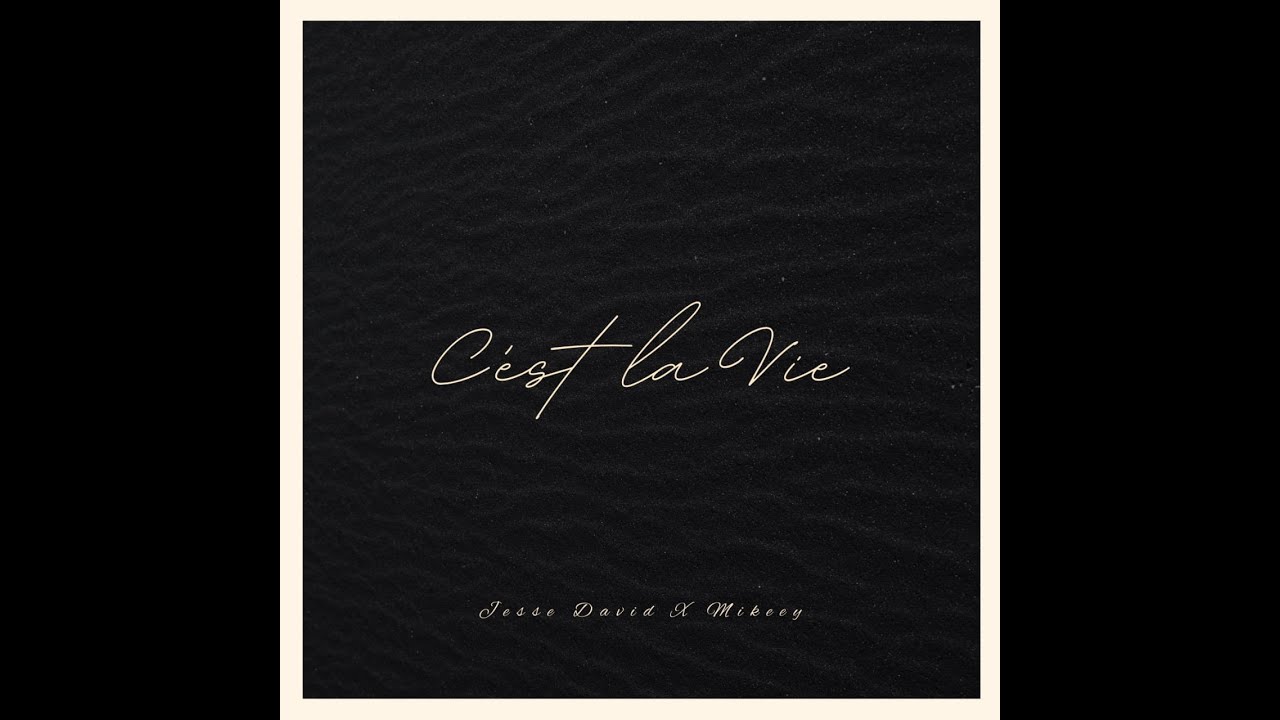 C`est la vie. Jesse David ft Mikey ( Lyrical video ) - YouTube